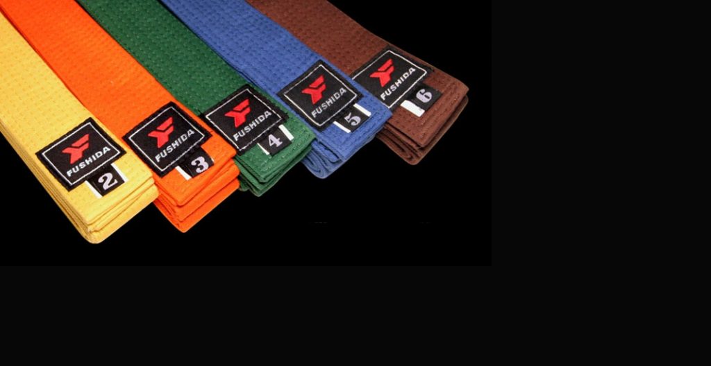 What Is Judo Rank in the Martial Arts? | USAdojo.com