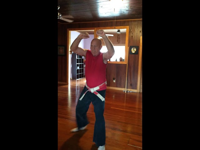 Lewis Lizotte: Isshin-Ryu Karate | USAdojo.com