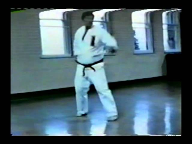 Steve Armstrong: Isshinryu | USAdojo.com