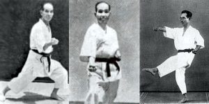 Shobayashi Shorin-ryu | USAdojo.com