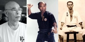 Taika Seiyu Oyata: Ryu-te | USAdojo.com