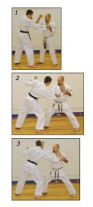 The Basics of Bunkai - Part 1 | USAdojo.com