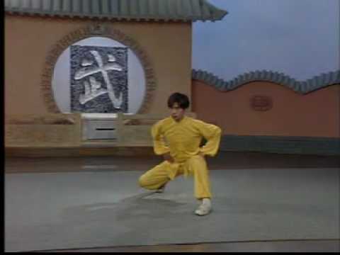 Praying Mantis Fist or Tang Lang Quan | USAdojo.com