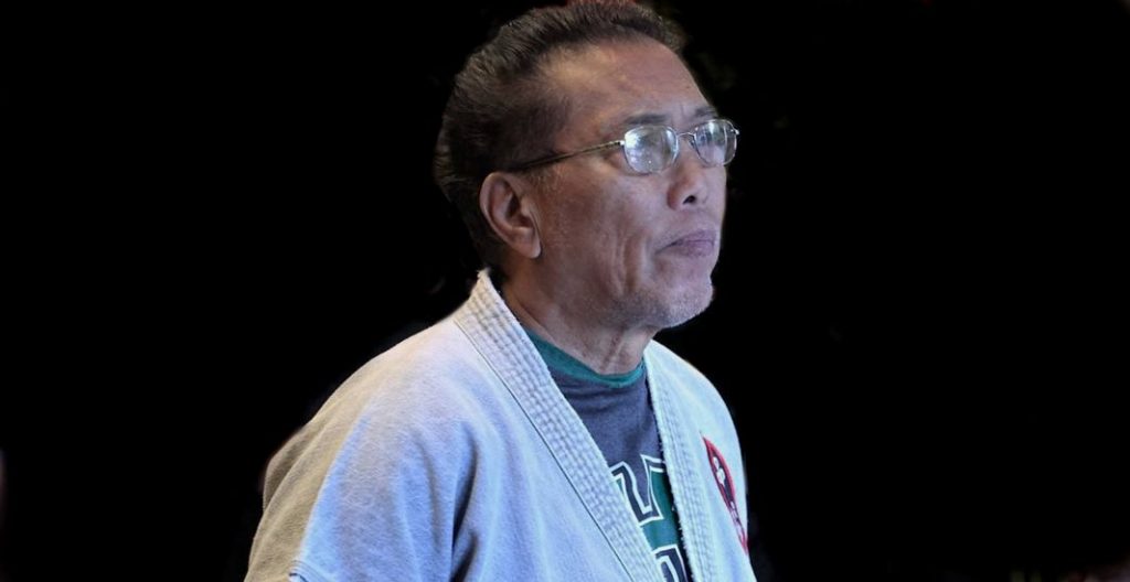 Al Dacascos: Wun Hop Kuen Do | USAdojo.com