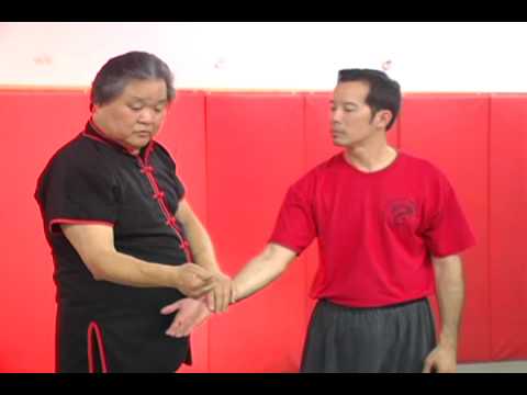 Douglas Wong: White Lotus Kung-Fu | USAdojo.com