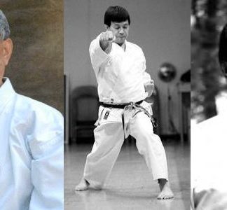 All About Martial Arts - USAdojo.com