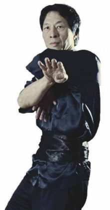 Samuel Kwok: Ip Man Wing Chun Kung Fu | USAdojo.com