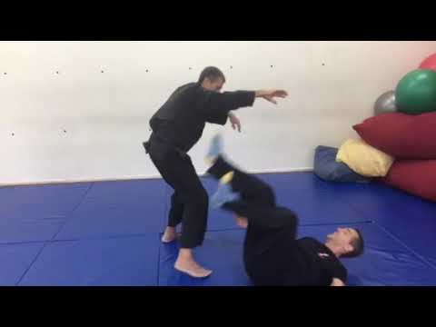 Seigyo through Metsubushi: Control through Blinding | USAdojo.com