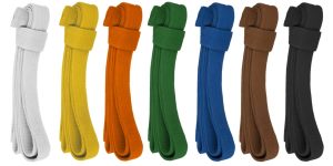 Dan Ranking System in the Martial Arts | USAdojo.com