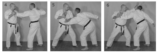 The Pinan / Heian Kata Series as a Fighting System: Part 2 | USAdojo.com