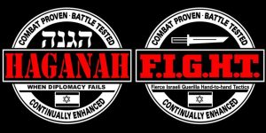 Israeli Haganah Combat System | USAdojo.com