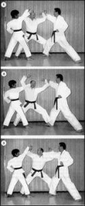 Quest For The Truth: The Origin of Tang Soo Do's Forms | USAdojo.com