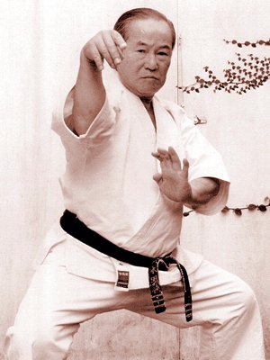 Meitoku Yagi Goju-ryu Meibukan | USAdojo.com