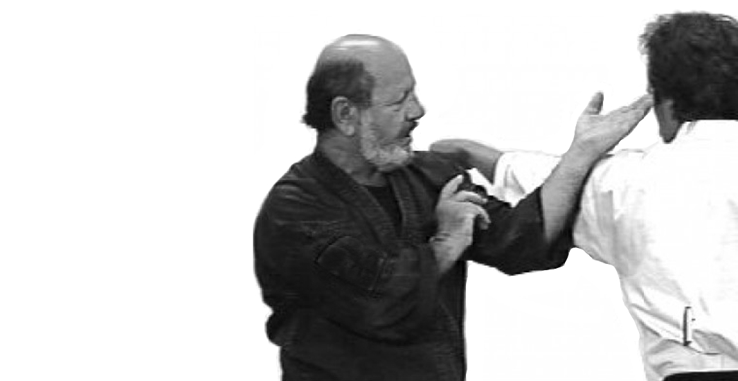 Nick Cerio: Kenpo | USAdojo.com