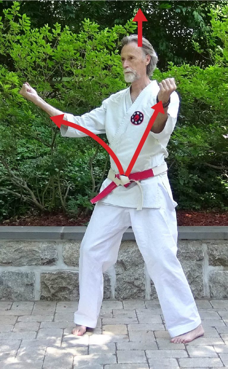 The Other Way of Sanchin Kata | USAdojo.com