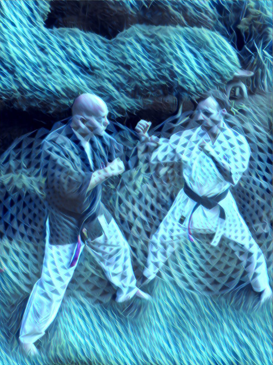 The Other Way of Sanchin Kata | USAdojo.com