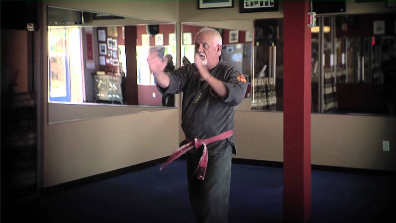 Bunkai: The Meaning Behind Kata | USAdojo.com